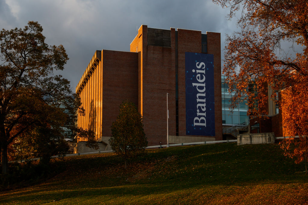 How to Write the Brandeis Supplemental Essays 2025–2026